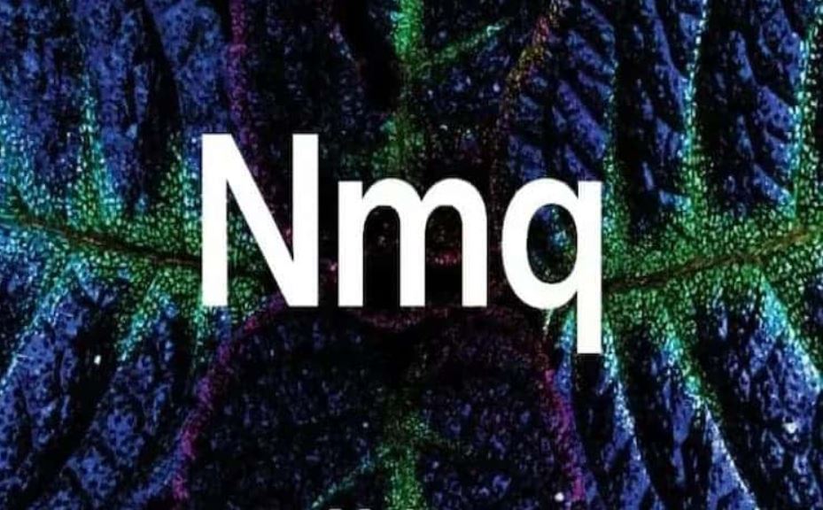 كمبوند Nmq الشيخ زايد Compound Nmq Sheikh Zayed